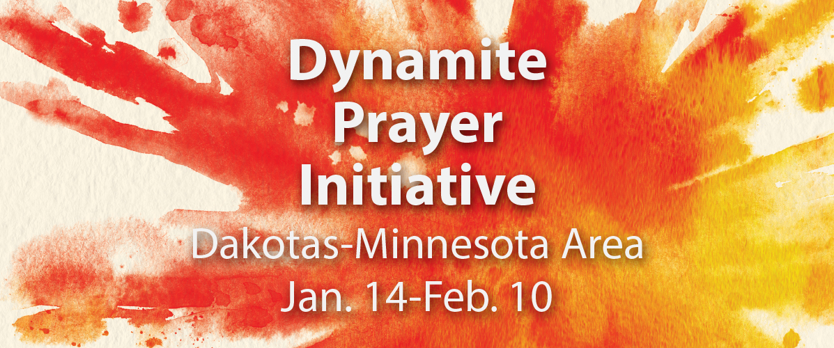 Lay Leadership Resources | mnsource